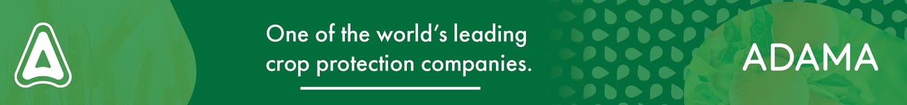 CSI: Global Leadership in A Critical Industry