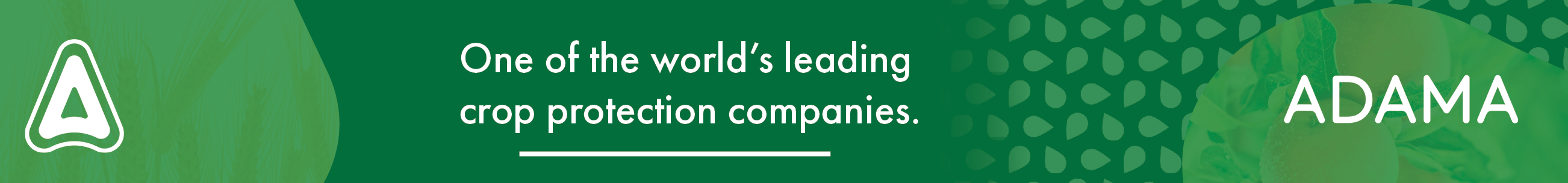CSI: Global Leadership in A Critical Industry