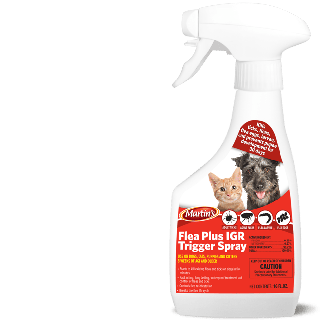 3 Ways to Eliminate Fleas from your Pet, Yard and Home