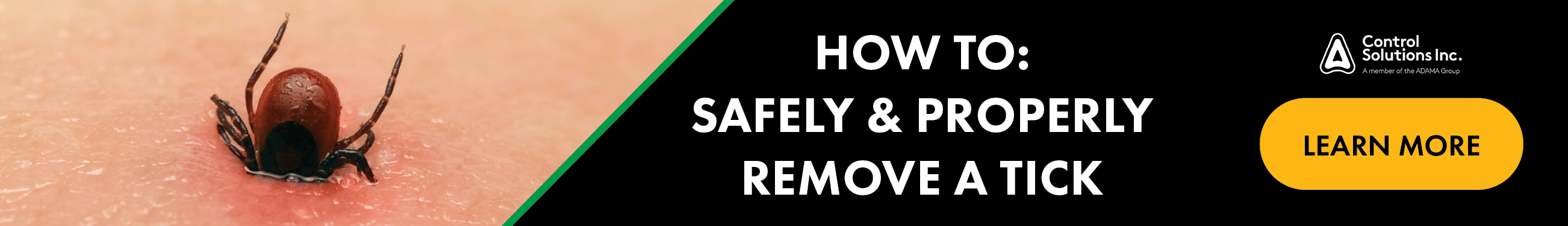 Killing Ticks and Eliminating Those Tick Borne Diseases