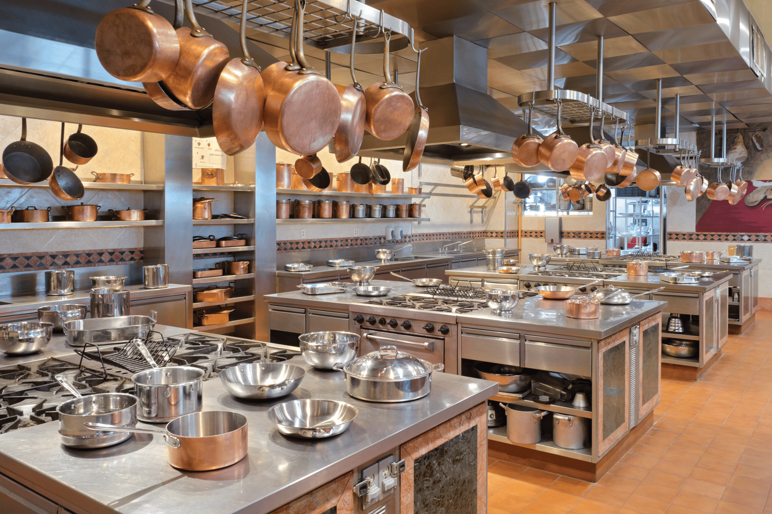 Control Small Flies in Commercial Kitchens