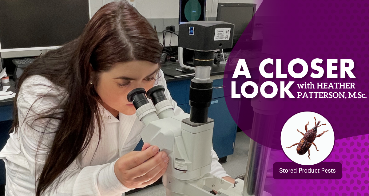 A Closer Look at Stored Product Pests