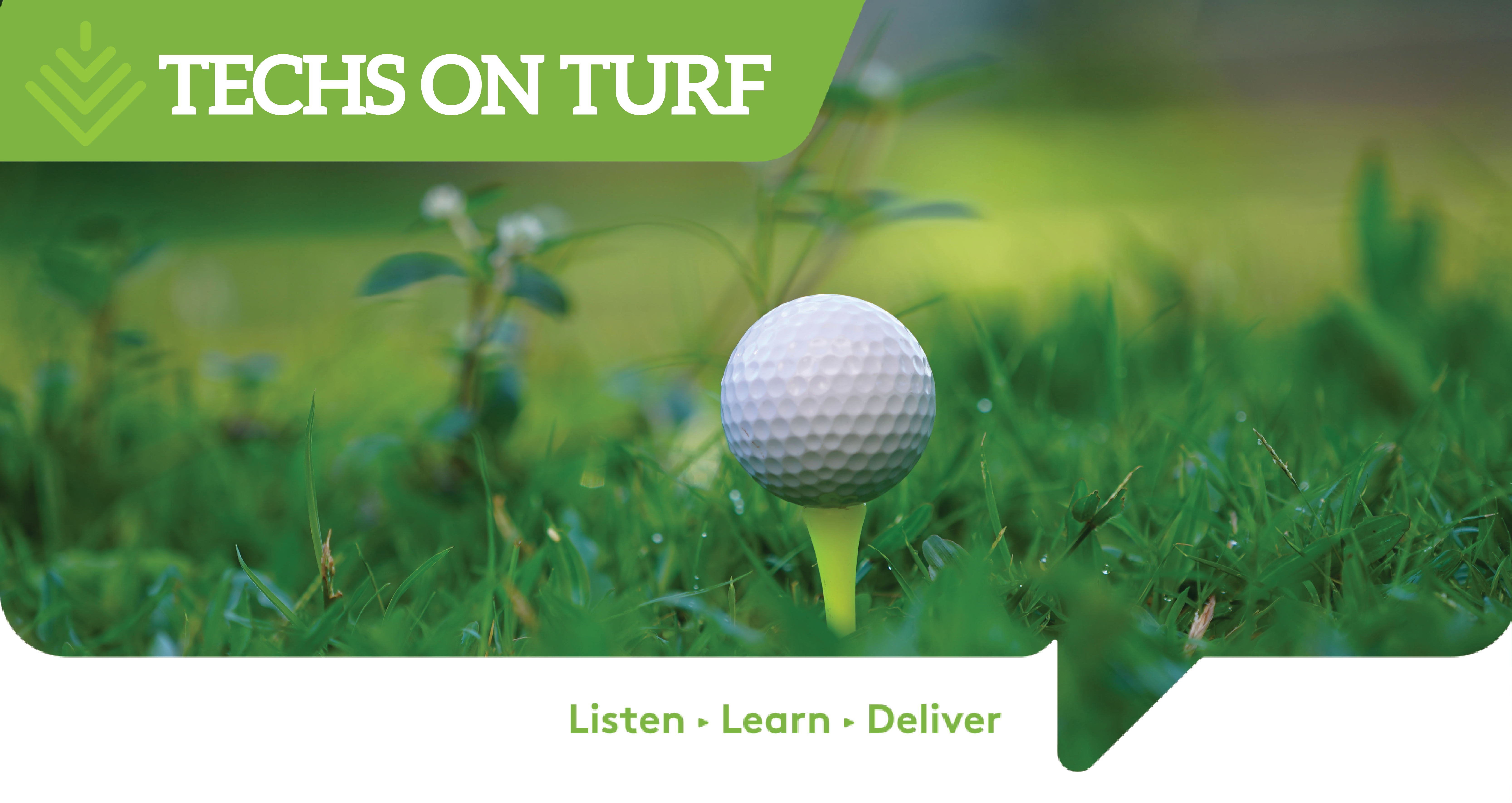 Effective Cool-Season Weed Control Strategies for the Midwest