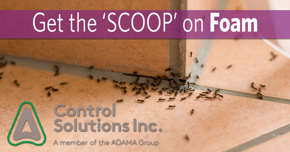 Fuse Foam: Your Go-To Product