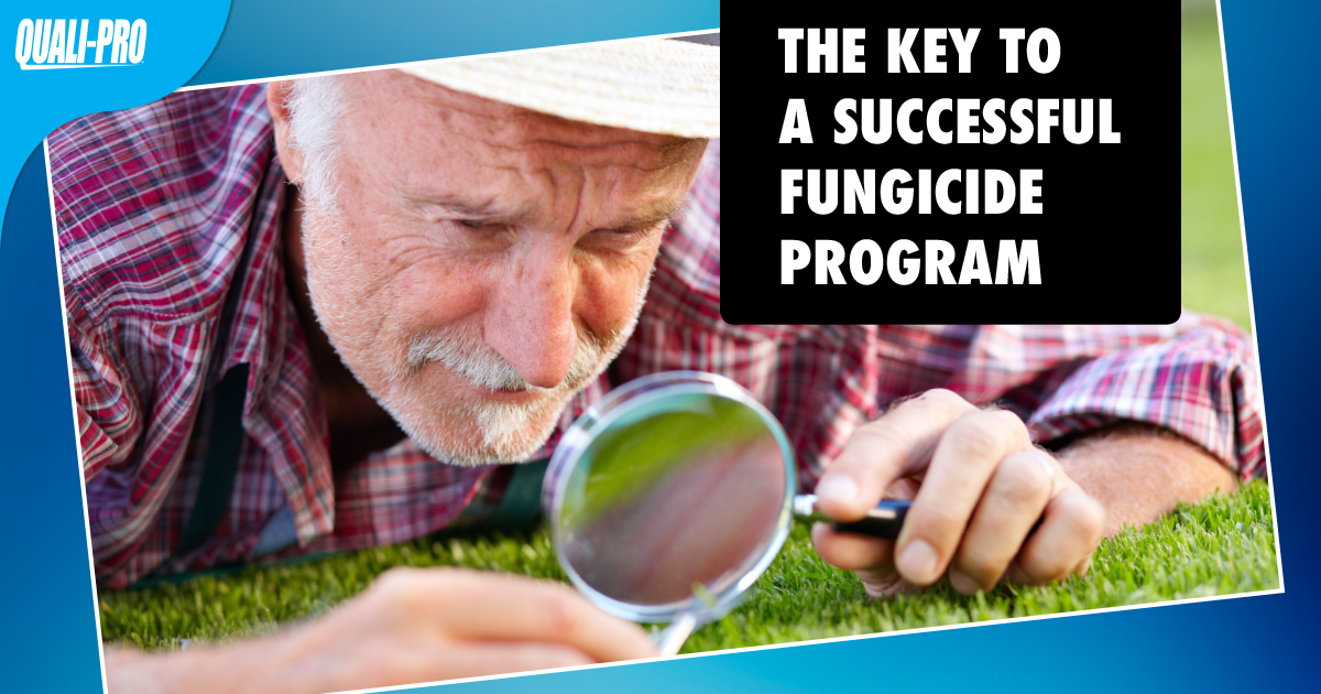 The Key to a Successful Fungicide Program