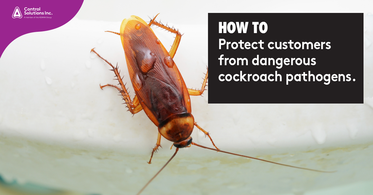 How To Protect Your Customers from Dangerous Cockroach Pathogens
