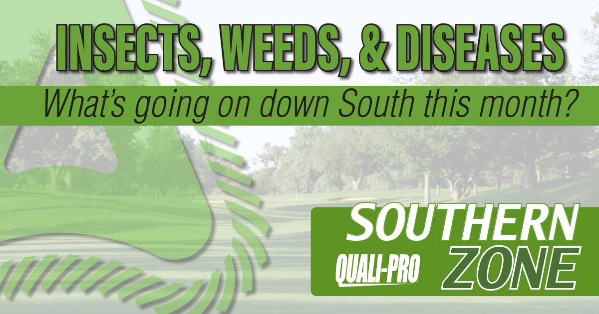Southern Zone Insects, Weeds and Active Diseases