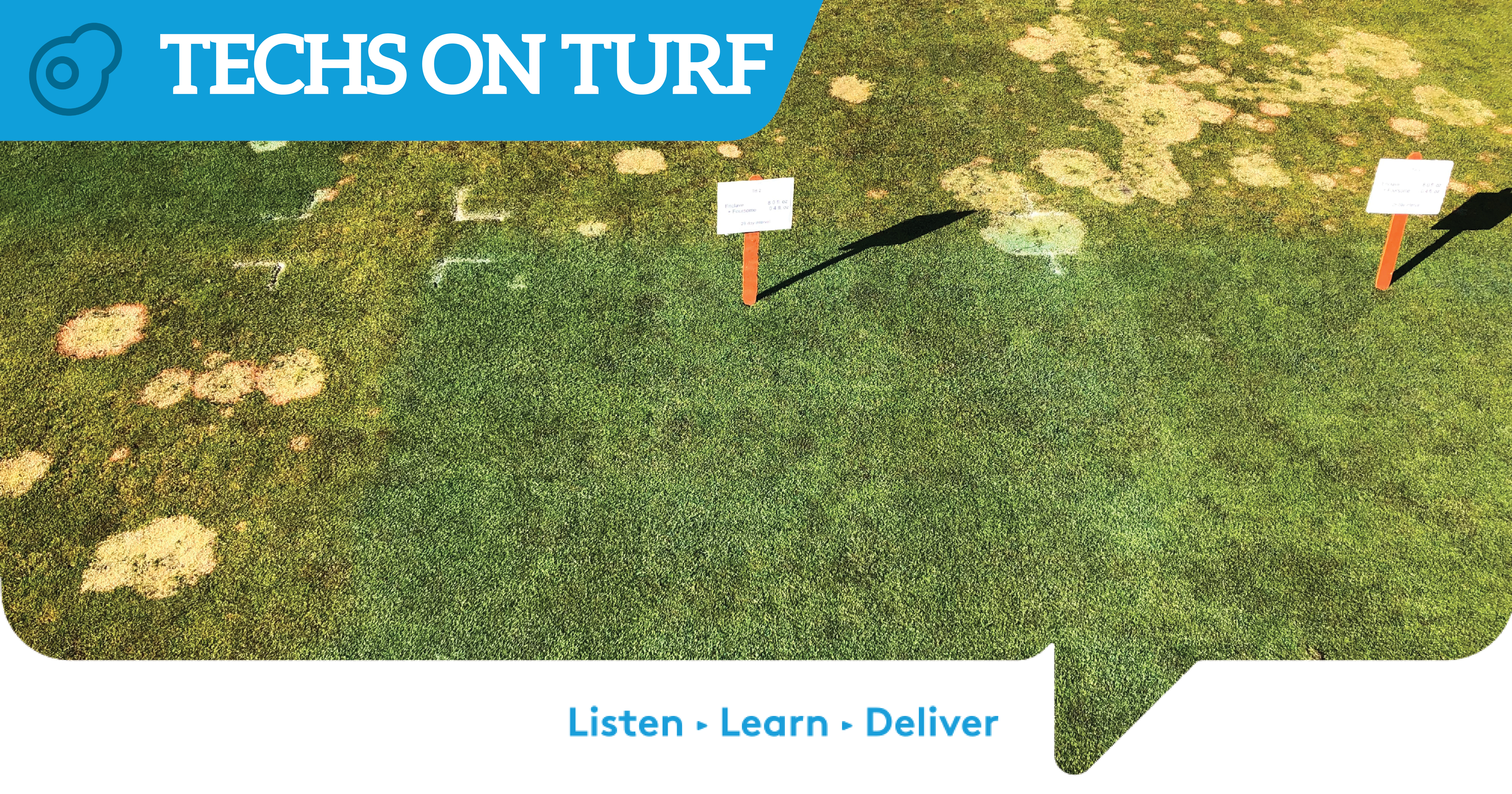 Think Ahead for Snow Mold