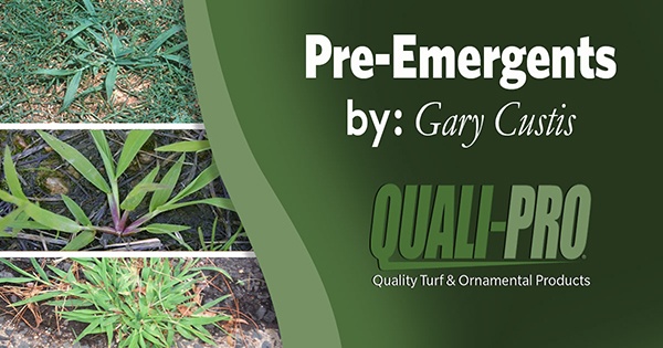 How Exactly do Pre-Emergents Work?